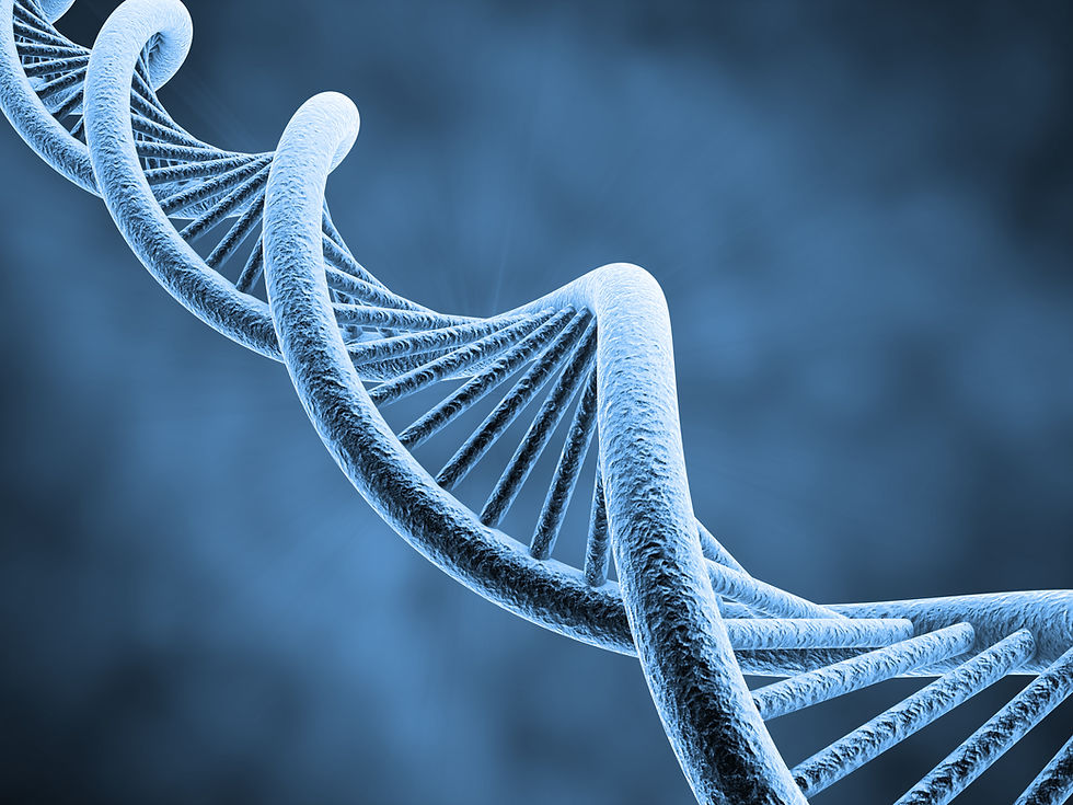 PQQ protecting memory and cognition – Swiss BioEnergetics